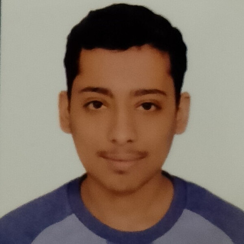 Lakshay - Computer programming tutor - 11$/h