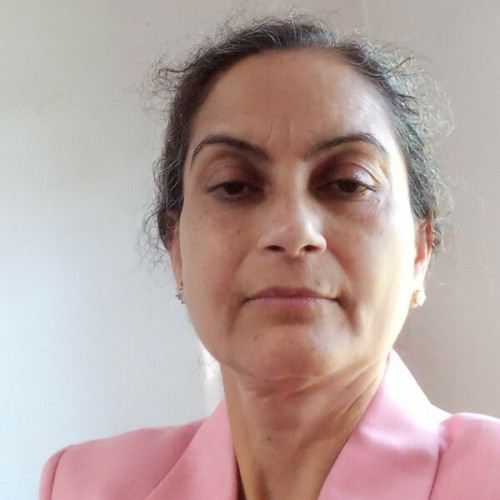 Smita - Microsoft excel tutor in Montreal - $20/h