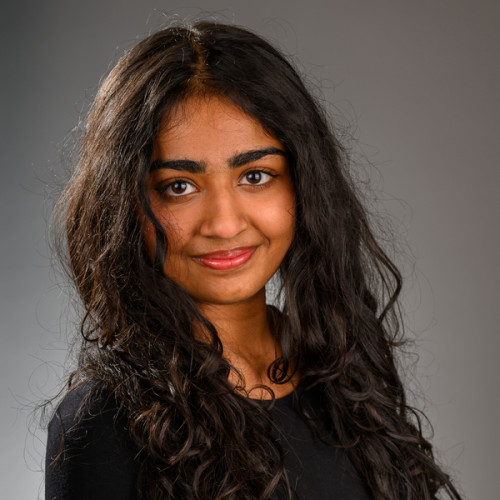 Vidisha - Maths tutor - 299$/h - 10 reviews