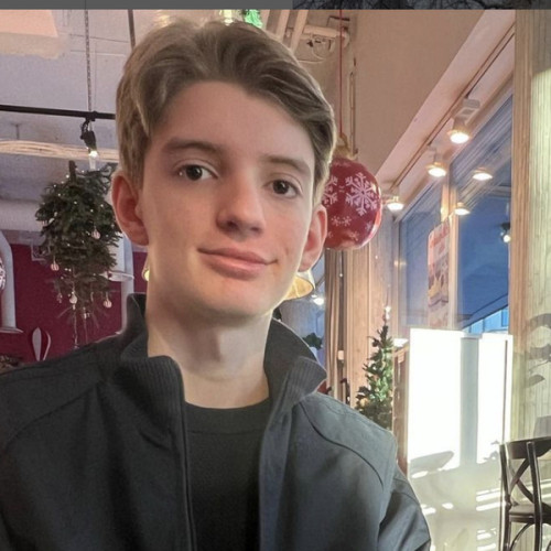 Vincent - Mathematics tutor in Sarasota - 20$/h - 2 reviews