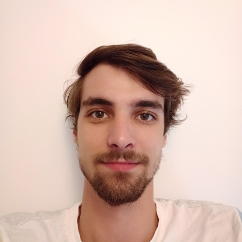 Raphaël - Prof de maths à Auriol - 20€/h