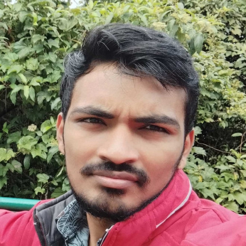 Somil - Maths tutor - $4/h