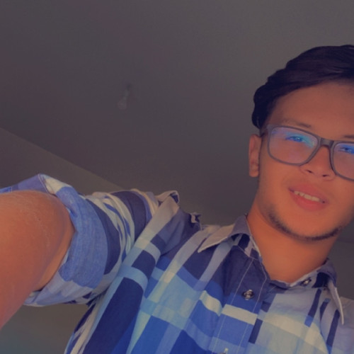 Ramzi - Prof de maths à Mulhouse - 21€/h - 0 avis