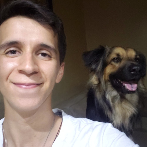 Raul - Profesor de química - $110/h