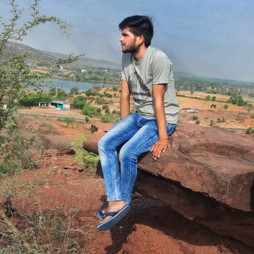 Manoj Mathur - Mathematics tutor - 6$/h