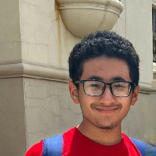 Michael - Mathematics tutor in Mountain House - 13$/h