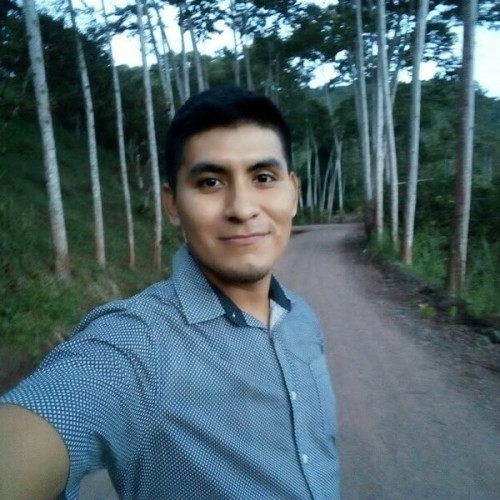 Richard Daniel - Profe de matemáticas - 5€/h