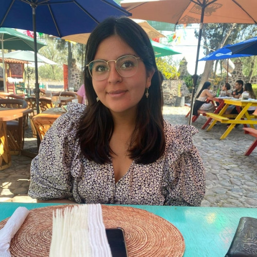 Livier - Profe de ciencias sociales - 5€/h