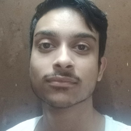 Rishabh - Mathematics tutor - 6$/h
