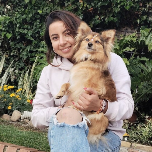 Deisy Carolina - Profe de excel en Bogotá - $40000/h - 3 opiniones