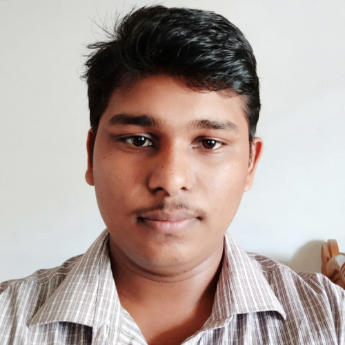 Dinesh - Web development tutor - 3$/h