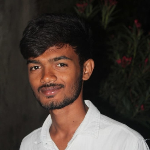 SAIKRISHNA - Computer programming tutor - $9/h