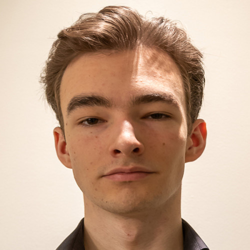 Louis - Mathematics tutor - 58$/h - 16 reviews