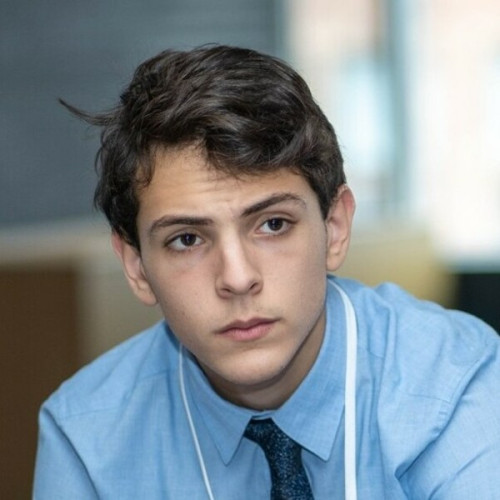 Aaron - Math tutor in Toronto - $25/h - 4 avis