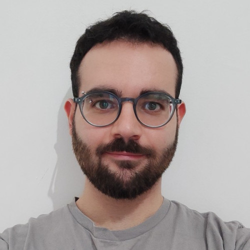 Domenico - Mathematics tutor - 29$/h - 50 reviews