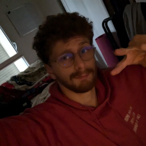 Léo - Prof d'anglais à La Riche - 15€/h - 4 avis