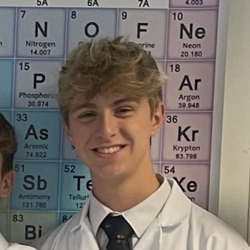 Toby - Mathematics tutor - 19$/h