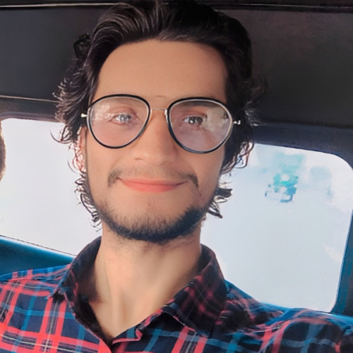 Abhinav - Data analysis tutor - 8$/h - 7 reviews