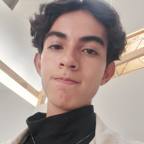 José Octavio - Profesor de matemáticas en Guadalajara - $450/h