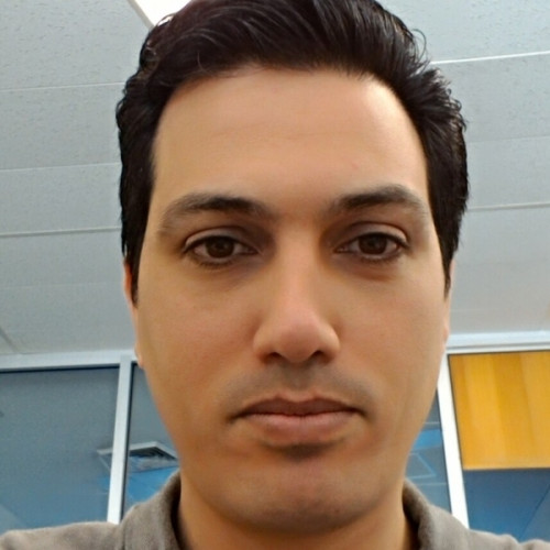 Daniel - Computer networks tutor - 26$/h - 2 reviews