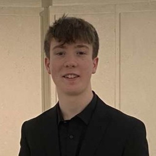 Alex - Mathematics tutor - 33$/h - 2 reviews