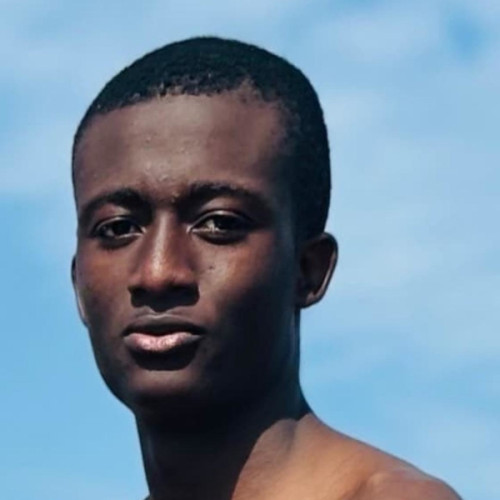 Falilou - Prof de français - 19€/h