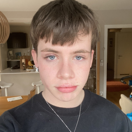 Marc - French tutor - $35/h