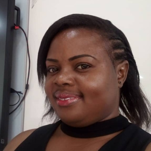 Wadzanai - Computer programming tutor - $31/h