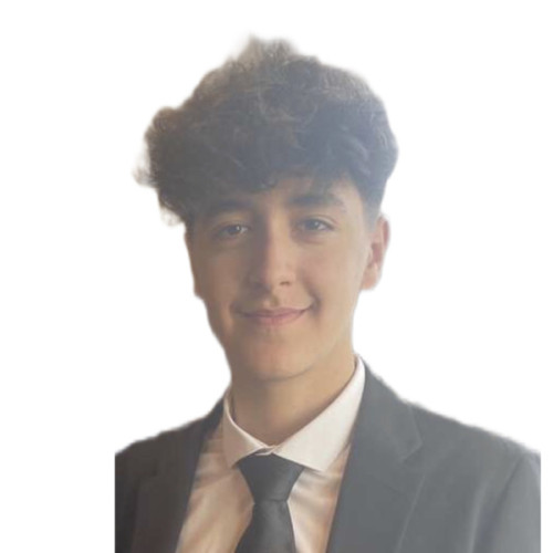 Alex - Mathematics tutor - 34$/h - 1 reviews