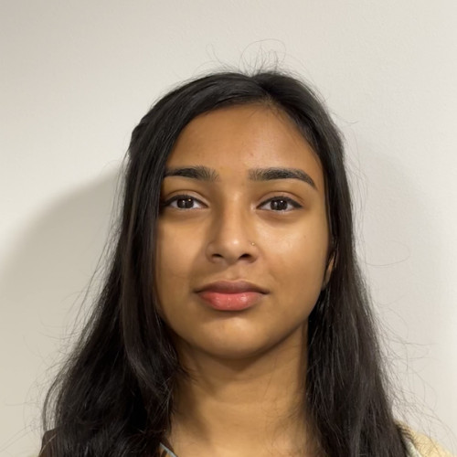 Bhanuka - Mathematics tutor - 18$/h