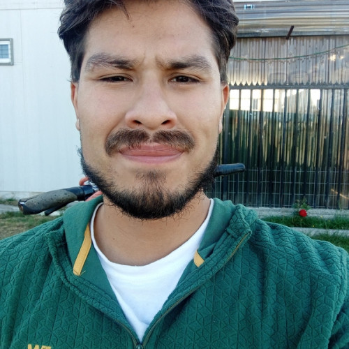 Carlos - Profesor de francés en Villarrica - $3000/h