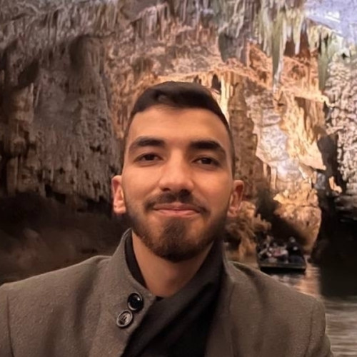 Omar - Mathematics tutor in Houston - 25$/h - 3 reviews