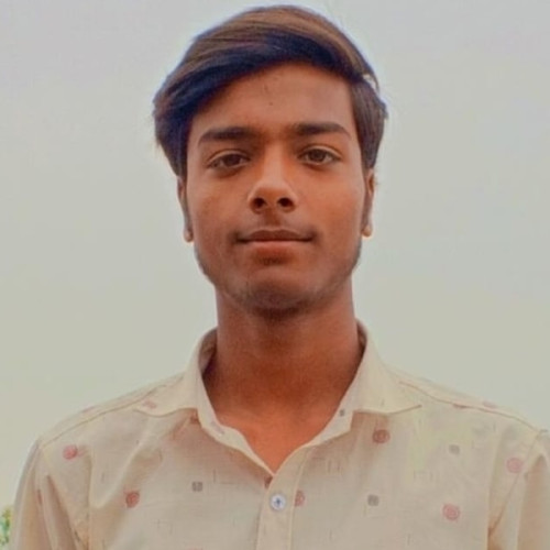 Vidit kumar - Hindi tutor - 310$/h