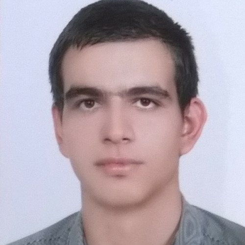 Mohammad Hasan - Computer programming tutor in Saratoga - 30$/h