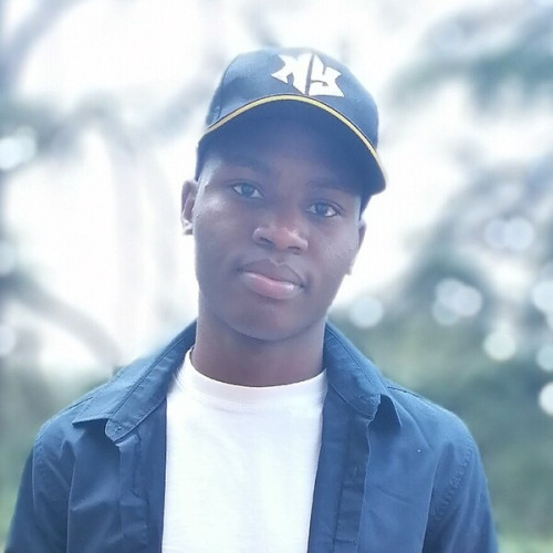 Alex - Maths tutor in Johannesburg - 100$/h