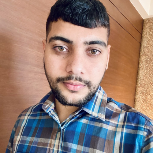 Tanuj - Business tutor - 12$/h