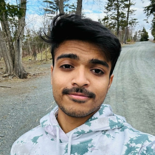 Yatrik - Computer programming tutor - 8£/h - 1 reviews