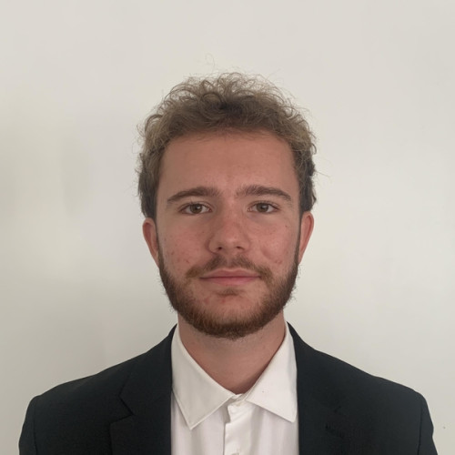 Mathieu - Prof de maths à Toulouse - 30€/h