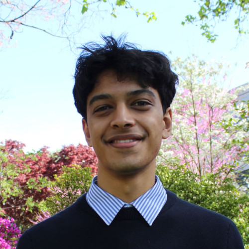 Arjun Mishra - Maths tutor - 17£/h