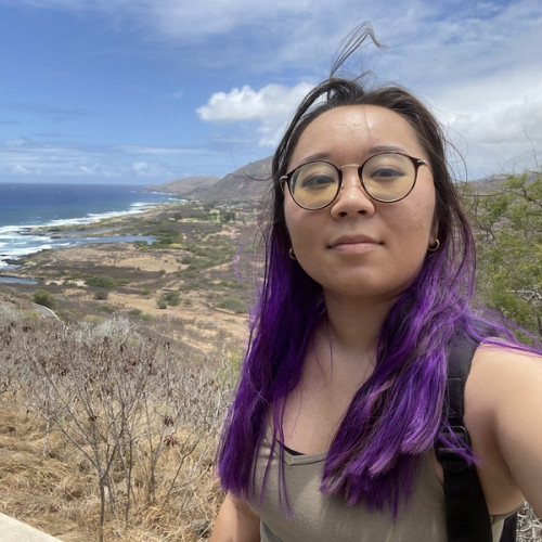 Emily - Computer programming teacher - ₹1353/h