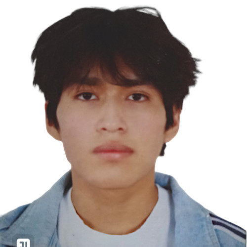 Anghelo - Profe de historia - 7€/h