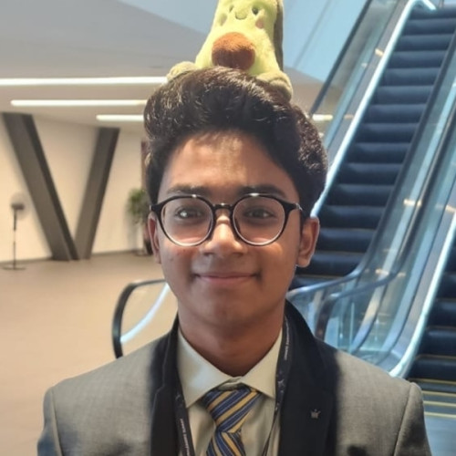 Ryan - Mathematics tutor - 30$/h