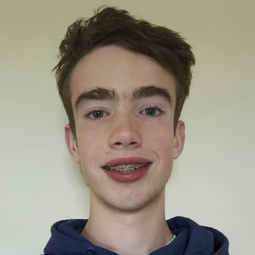 Alexander - Maths tutor in Woking - 12£/h