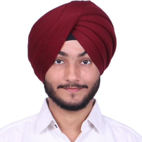 Arshdeep - English tutor - 13$/h