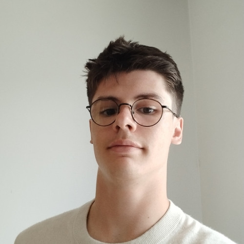 Romain - Prof de maths à Corps-Nuds - 15€/h