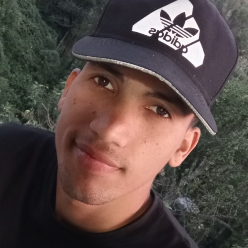 Journet - Spanish tutor - RM130/h