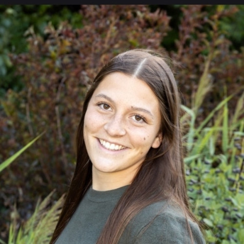 Anna - Mathematics tutor in Provo - 15$/h