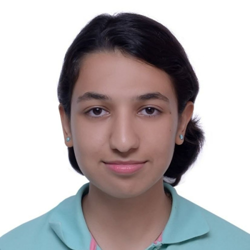 Negar - Computer programming teacher - ₹2138/h