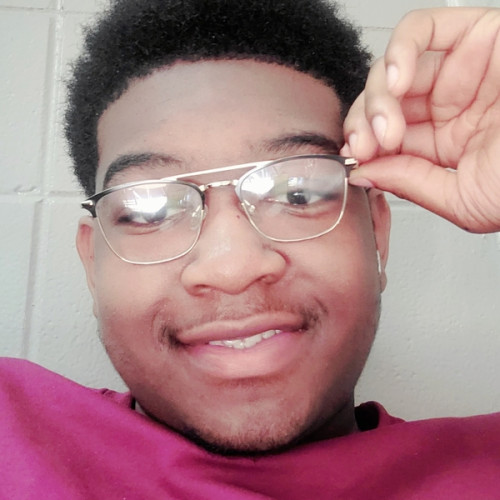 Dezmond - Mathematics tutor in Starkville - 15$/h