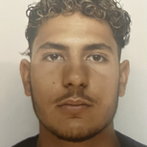 Nael - Prof de maths à Lyon - 40€/h